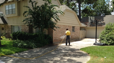 Home Pest Control in Cedar Park, Dallas-McKinney, & Spring, TX | Green ...